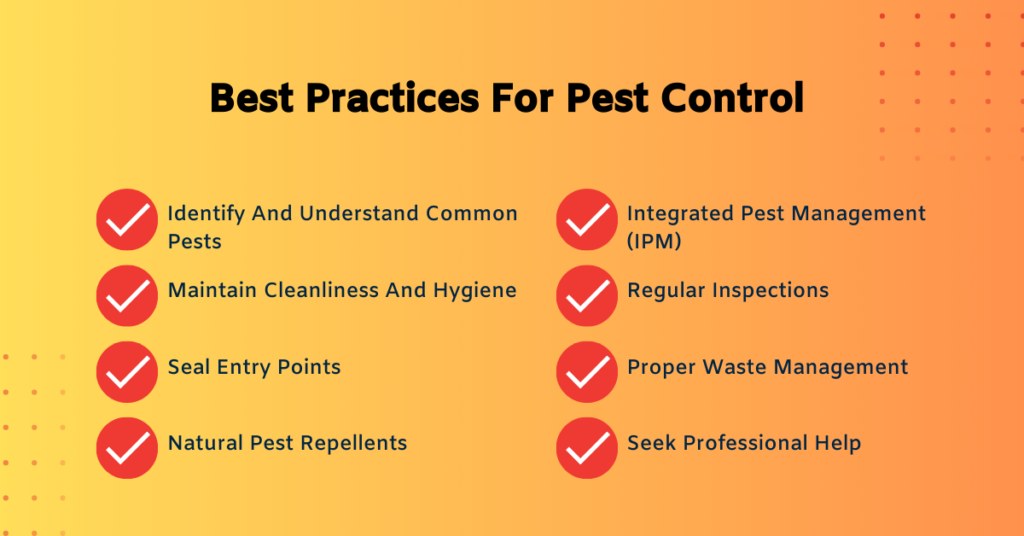 The Guide To Best Practices For Pest Control - Truly Blog