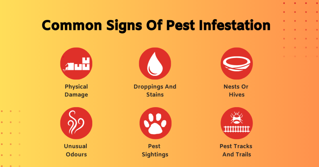 The Guide To Best Practices For Pest Control - Truly Blog