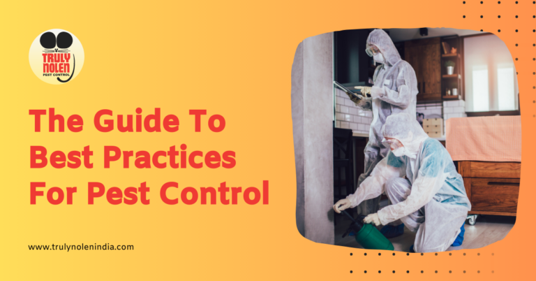 The Guide To Best Practices For Pest Control - Truly Blog