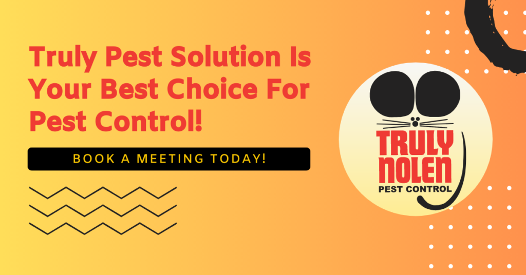 The Guide To Best Practices For Pest Control - Truly Blog