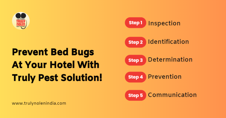 How Do Hotels Prevent Bed Bugs Truly Blog