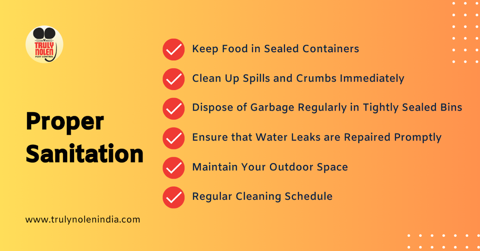 How to Get Rid of Rats at Homes and Offices: Top 5 Effective Methods ...