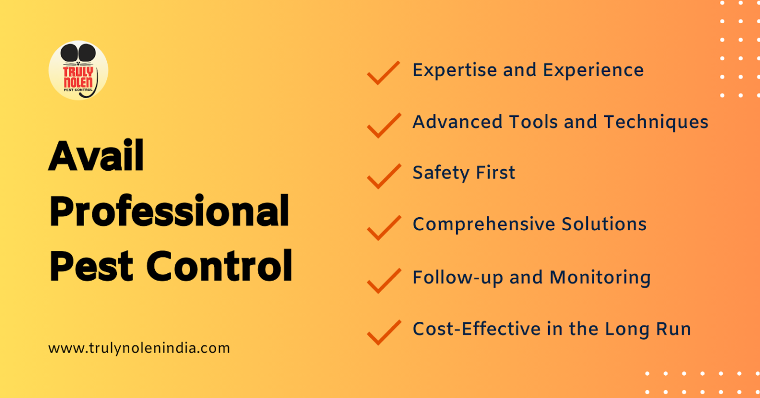 How to Get Rid of Rats at Homes and Offices: Top 5 Effective Methods ...