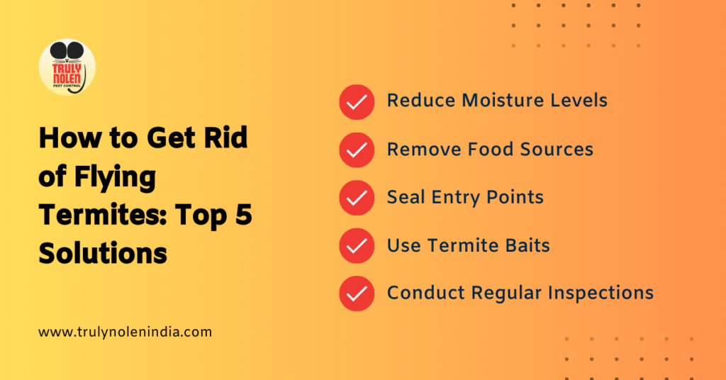 How to Get Rid of Flying Termites: 5 Effective Solutions - Truly Blog