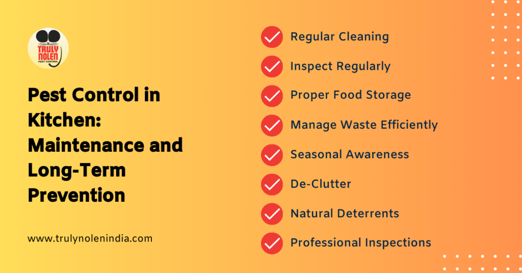Pest Control in the Kitchen: Essential Strategies to Maintain Hygiene - Truly Blog