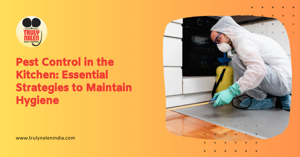 Pest Control in the Kitchen: Essential Strategies to Maintain Hygiene ...