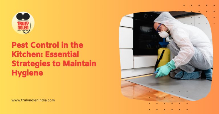 Pest Control in the Kitchen: Essential Strategies to Maintain Hygiene ...