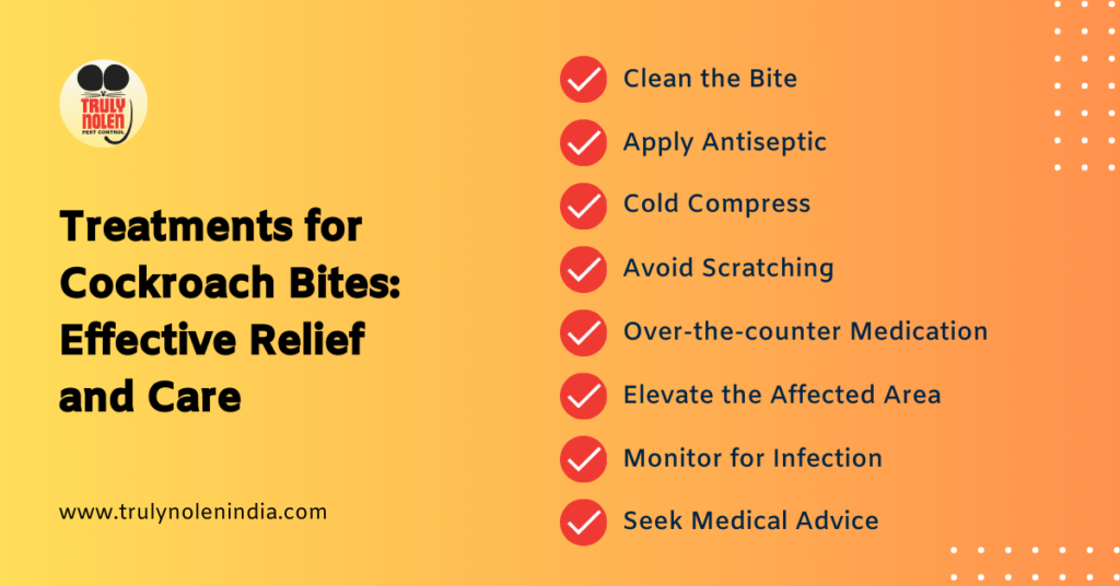 Do Cockroaches Bite? Symptoms, Prevention and Treatments - Truly Blog