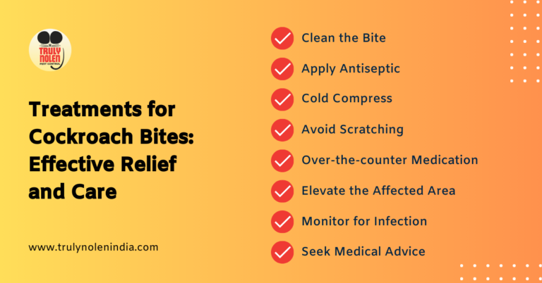 Do Cockroaches Bite? Symptoms, Prevention and Treatments - Truly Blog