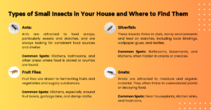 How to Get Rid of Small Insects in the House: 8 Effective Tips - Truly Blog