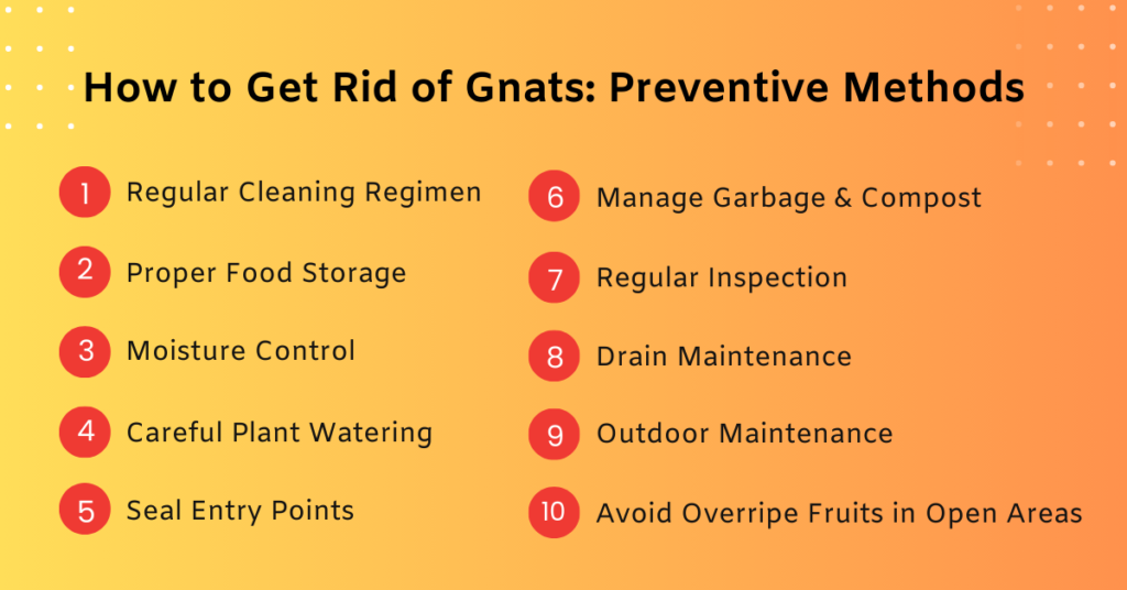 A Complete Guide on How to Get Rid of Gnats - Truly Blog