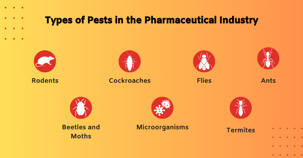 Pest Control Procedures in the Pharmaceutical Industry: Everything You ...